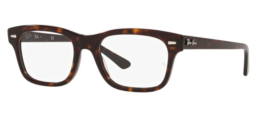 Ray-Ban Glasses - Tortoise+Black